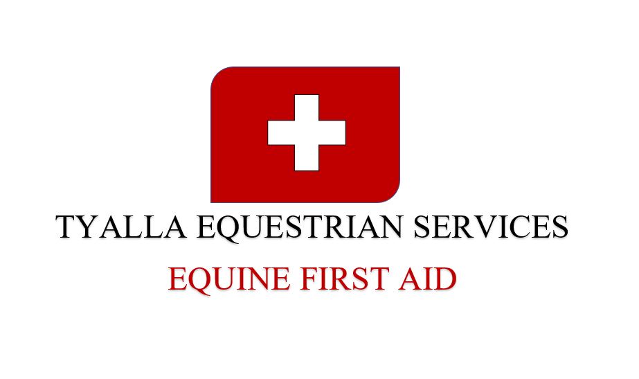 Equine First Aid Kits & Supplies – Tyalla Equestrian Services